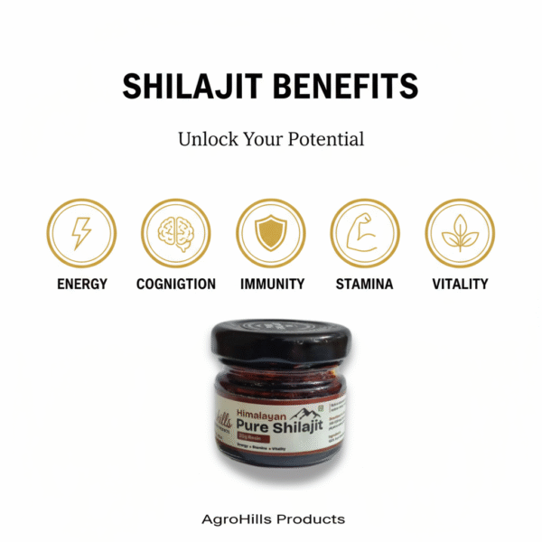 The Ultimate Guide to Shilajit: What It Is, Benefits & How to Use It ...
